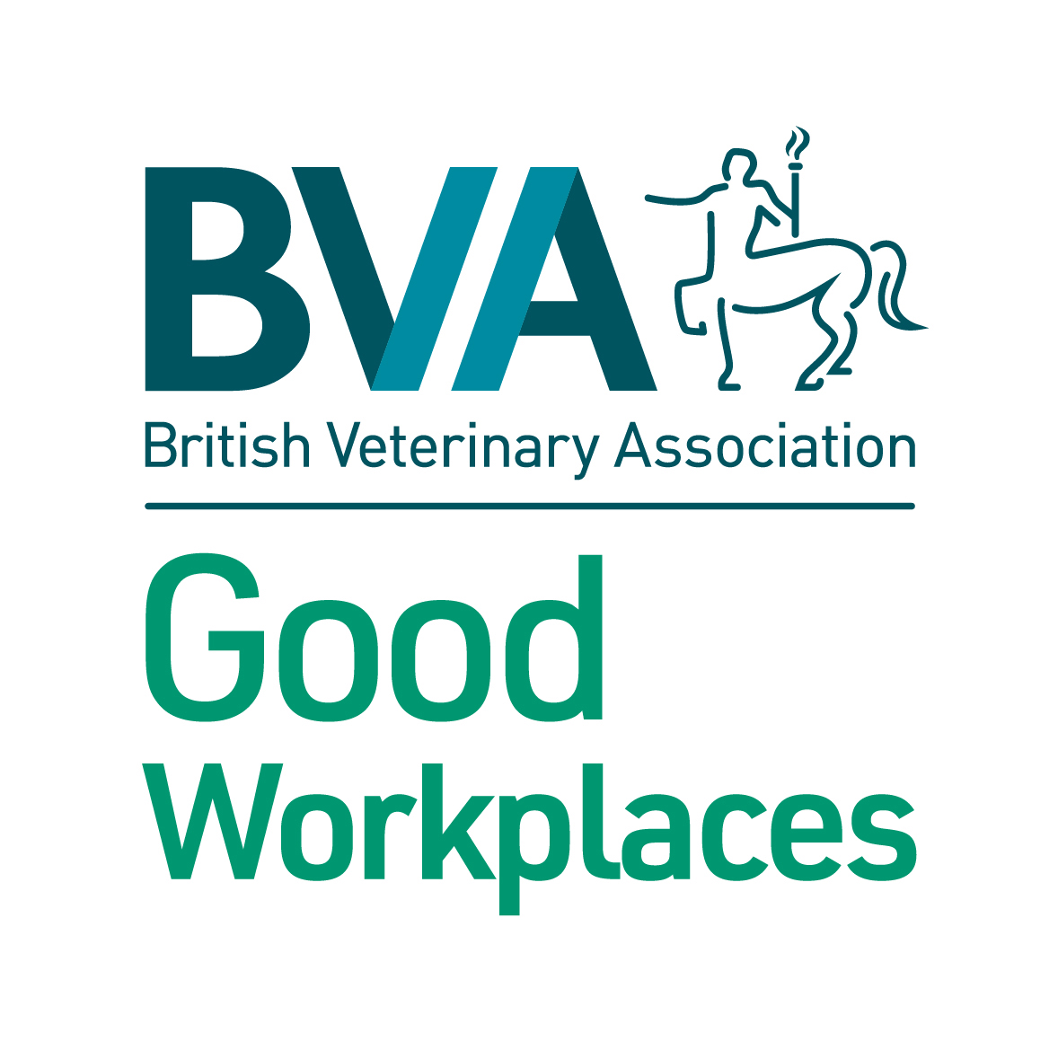 Good veterinary workplaces - taking action