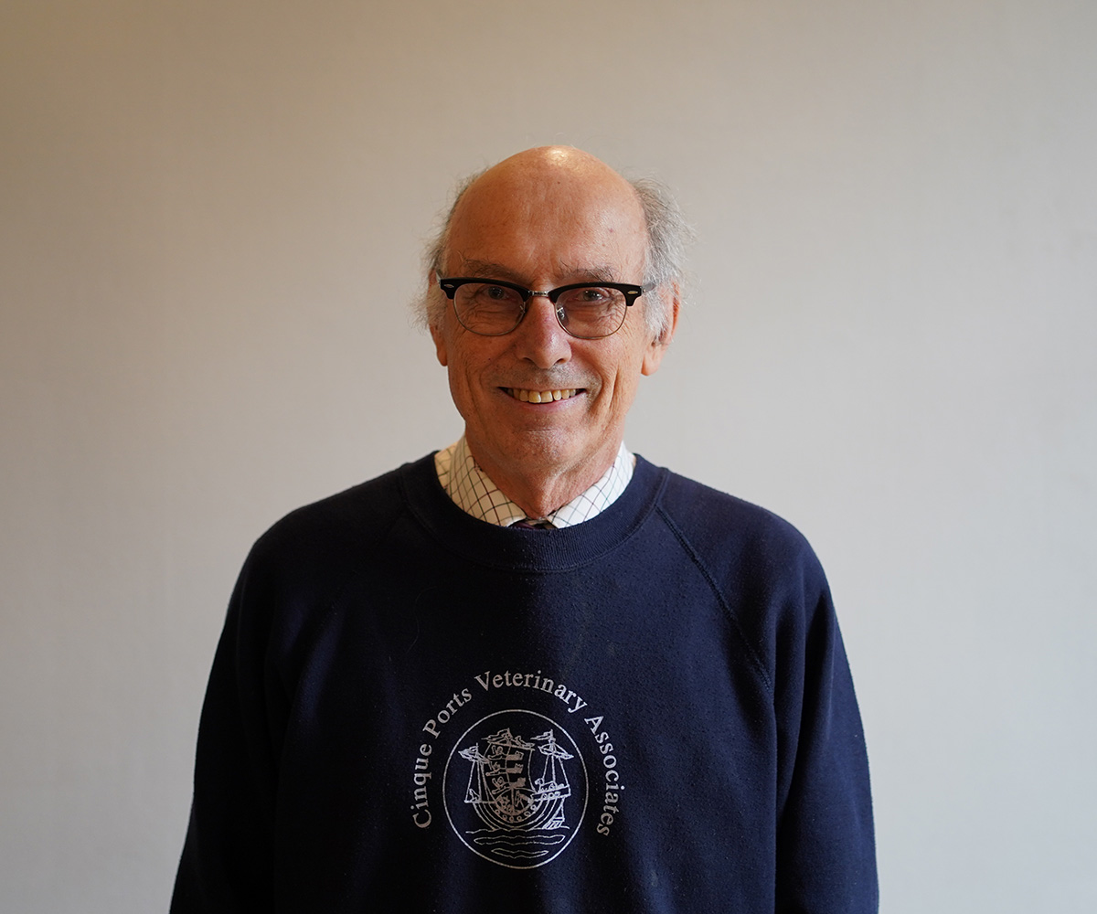 CHS Scrutineers | British Veterinary Association