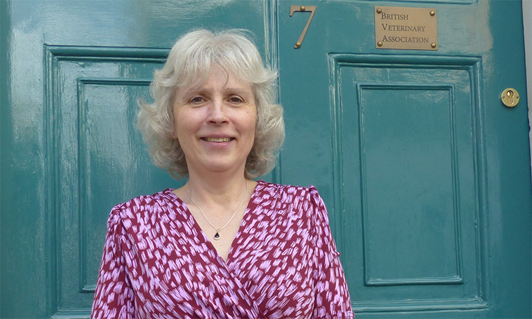 Reflections on a year as BVA President