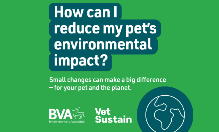How can I reduce my pet’s environmental impact?